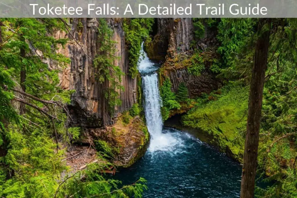 Toketee Falls: A Detailed Trail Guide – Take To The Trail